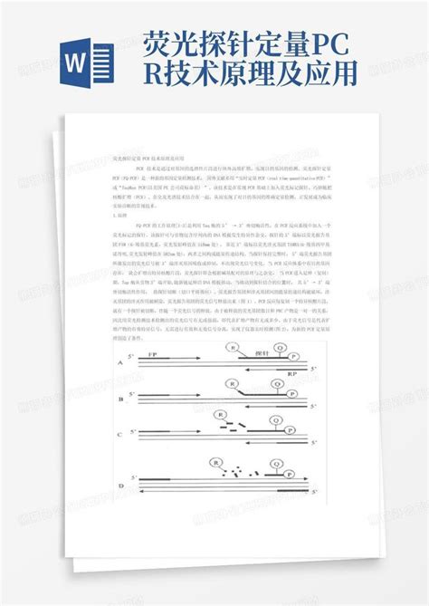 荧光探针定量pcr技术原理及应用word模板下载编号lpeewwra熊猫办公