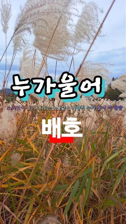 소리없이 흘러 내리는 눈물같은 이슬비 ~ 누가울어 배호 Kpop Trot Youtube