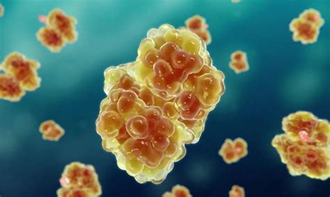 Intracellular Aladdin Scientific