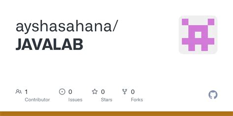 Github Ayshasahana Javalab
