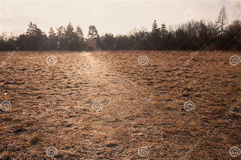 A Field Of Grass With A Path In The Middle Stock Image Image Of