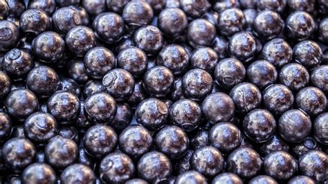 Classifications Of Dbms Database Management System