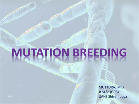 Mutation Breeding Pptx