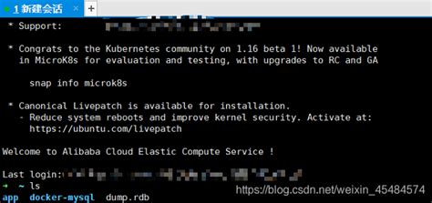 使用xshell将前端项目部署到服务器xshell部署前端代码启动前端项目 Csdn博客