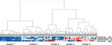 Hierarchical Agglomerative Clustering Of The 5 Clinical Clusters Download Scientific Diagram