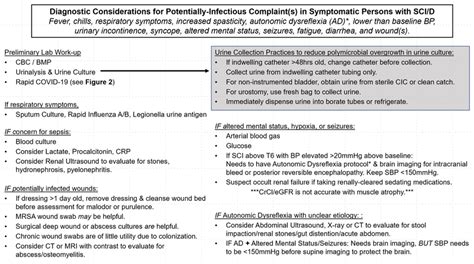 Approach To Diagnostic Workup For Persons With Sci D ²⁶ See Clinical Download Scientific