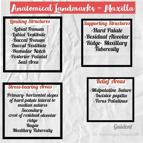 Guident Aramanys Classification Dentistryprosthodontics