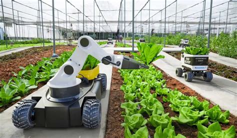 Agritech In Karnataka Smart Farming With Ai Tools