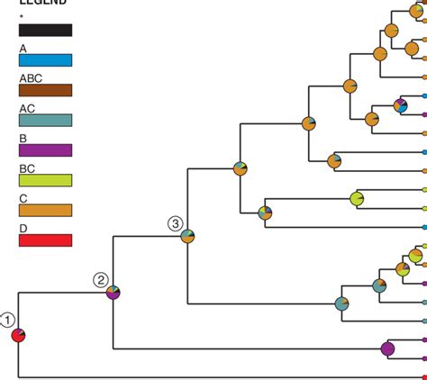 Ancestral Area Reconstruction Of The Core Berchemia By The Bayesian