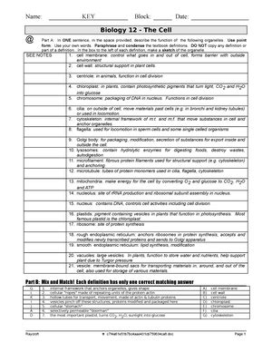 Sex Verification In Sport Student Ws Sex Verification Testing Of Athletes Introduction Use The
