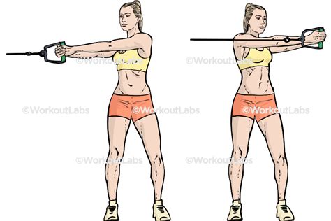 Cable Torso Rotation