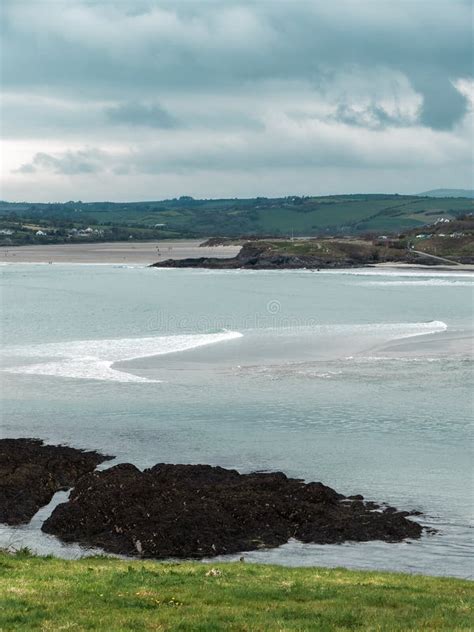 View Of Clonakilty Bay On A Cloudy Day Thick Grass Near The Sea The