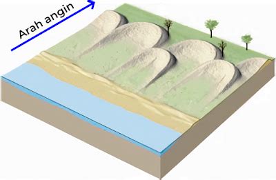 SEDIMENTASI AEOLIS