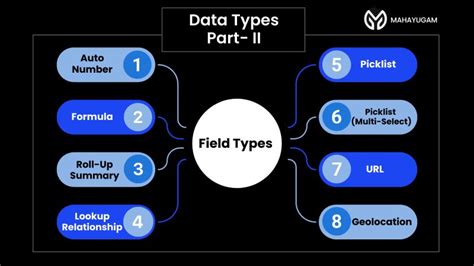 Mahayugam Inc On Linkedin Salesforce Data Types Keeping Your Data Organized Salesforcelearning
