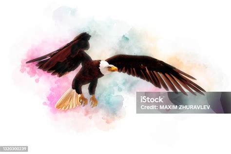 대머리 독수리 3d 그림은 흰색 배경에 고립 된 수채화 그림의 스타일 독수리에 대한 스톡 사진 및 기타 이미지 독수리 수채화 3차원 형태 Istock