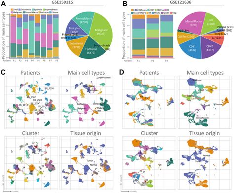 Single Cell Landscape And Spatial Transcriptomic Analysis Reveals Macrophage Infiltration And