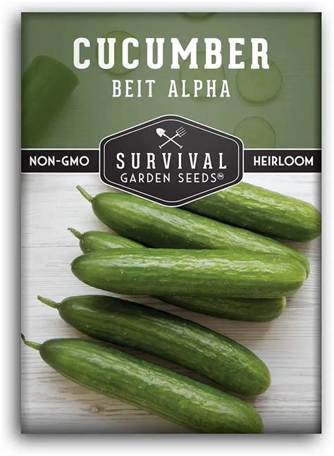 a beginner s guide to growing mini cucumbers in your garden shuncy