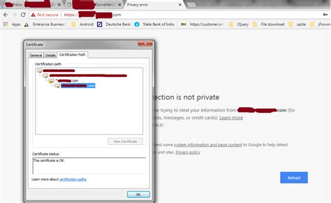 your connection is not private · issue 749 · lightbody browsermob
