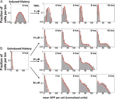Comparison Between Our Stochastic Model And Experiments For Transitions Download Scientific
