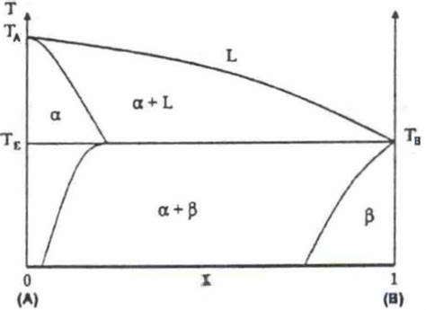 Possible Typical Phase Diagrams Of A Binary Alloy Formed By Components Download Scientific