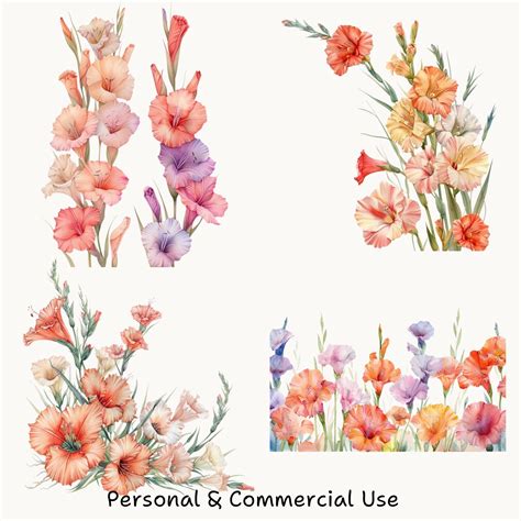August Gladiolus And Poppy Floral Border Watercolor Clipart Set High