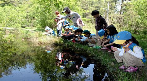 천안시 숲과 함께 크는 아이들 ‘숲유치원 운영