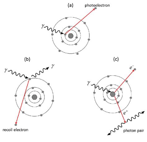 5 Possible X Ray Photon Interaction Processes With The Matter A Download Scientific Diagram