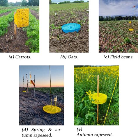 Figure 43 From Detection Of Pests In Agriculture Using Machine