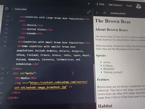 Coding With Html Tags For Seo Sophia Karanja Posted On The Topic Linkedin