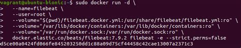如何在 Docker 容器中运行 Filebeat 云社区 华为云