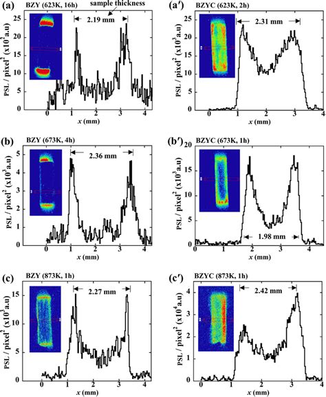 12 Line Profiles Of Ip Images Used To Calculate Hydrogen Diffusivity Download Scientific