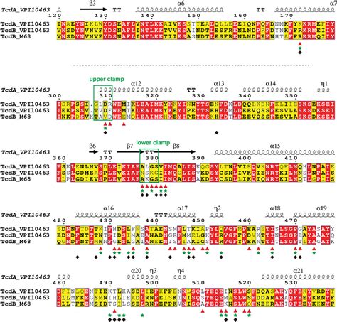 amino acid sequence alignment among the gtds of tcda and two tcdb