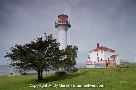Active Pass Lighthouse Mayne Island British Columbia Canada