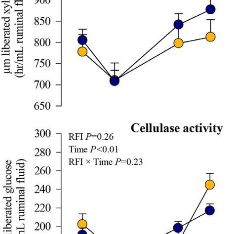 Activities Of Amylase Xylanase Cellulase And Protease Enzymes In Download Scientific Diagram