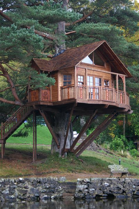 All I Want Is A Treehouse