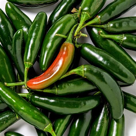 12 Types Of Hot Peppers Guide To Different Hot Peppers