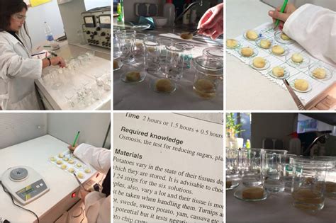 Новини от часовете по природни науки в Международно училище Златарски Международна гимназия