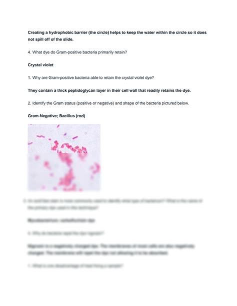 SOLUTION Biod 171 Lab 3 Exam Studypool
