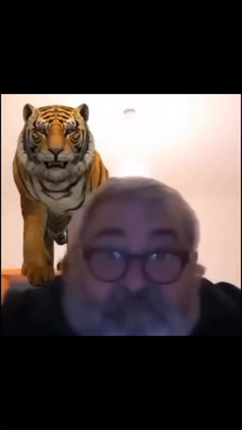 Memes No Ads Oh Lawd String Theory A Theoretical Framework In Physics Posits That The