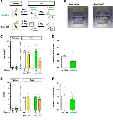 Figure 3 From Anterior Cingulate Cortex Projections To The Dorsal