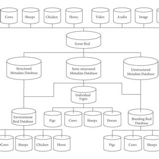 Data Manager Structure Diagram Download Scientific Diagram