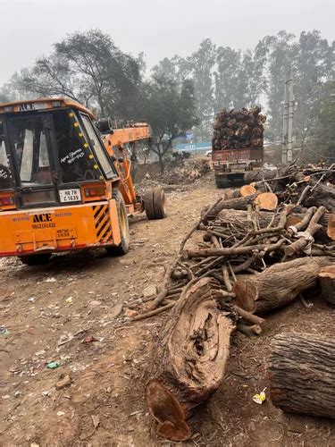 Round Brown Babool Wood Planks For Window Frame At Rs 19 Kilogram In