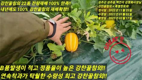 한시세 더받는 강찬꿀참외 100재배만족 강찬꿀참외 2부 성주군 성주읍 김영화사장님생농 강찬꿀참외 위대한토좌 특별한토좌 성주참외 연속착과 참외 참외