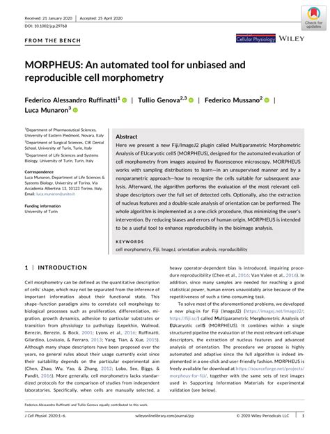 Pdf Morpheus An Automated Tool For Unbiased And Reproducible Cell Morphometry