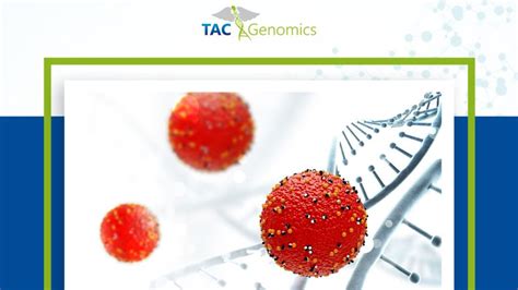 Exploring The Rich Landscape Of Single Cell Rna Sequencing Applications