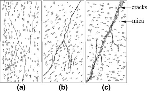 Schematic Diagram Of The Aggregation Mode Of Cracks A Type I B Type Download Scientific