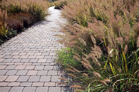 10 Fall Decor Tips With Ornamental Grasses Perfect For California Homes