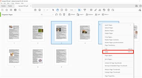 How To Duplicate Pages In Pdf Full Guide With All Details