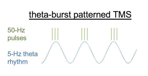 Theta Burst Stimulation — Hermiller Lab