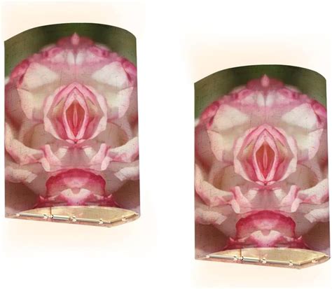 Rechargeable Sconces Set Of Two Sex Pussy Vulva Clitoris Orgasm Love Spring Bloom Petal Rose